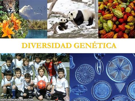La Diversidad La Biodiversidad De Mi Pais