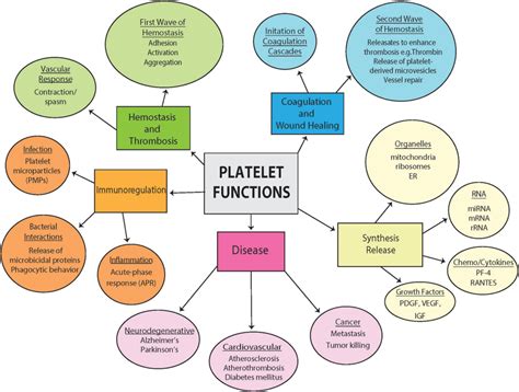 Diversity Of Platelet Function Highlighted Are Some Of The Diverse