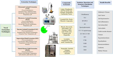 Schematic Representation Of Extraction To Identification Of Bioactive