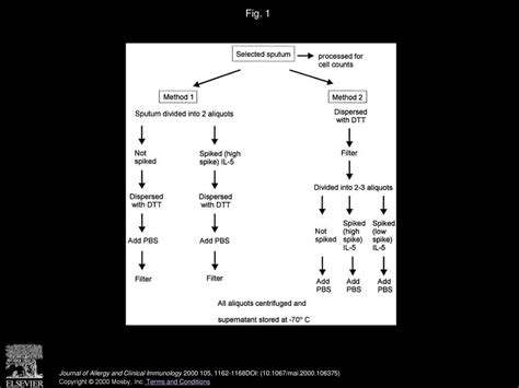 Induced Sputum Validity Of Fluid Phase Il 5 Measurement Ppt Download