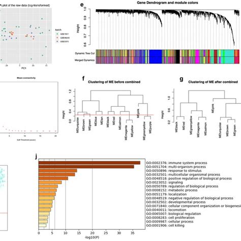Screening Of Hub Genes Related To The Immune System Process In Dm A