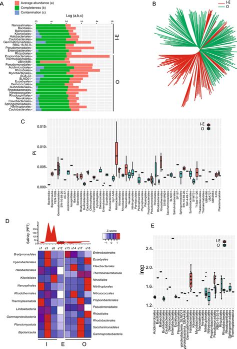 Whole Metagenome Resolved Genome Assemblies Analysis A Barplot Of