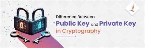 Difference Between Public Key And Private Key Intellipaat