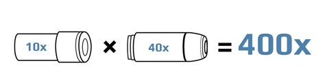 How To Calculate The Magnification Of A Microscope Carson Optical