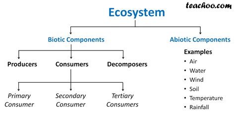 Components Of Ecosystem Biotic And Abiotic Teachoo Concepts
