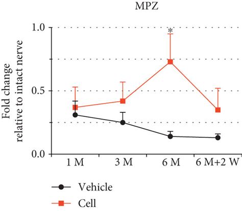 Temporal Mrna Expression Of Growth Factors In The Distal Nerve Stump