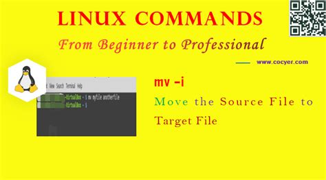 linux mv i command move the source file to target file cocyer