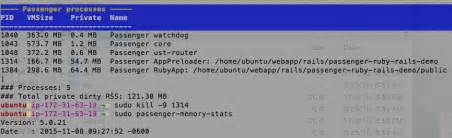 ruby the memory optimal setting of rails app on phusion passenger