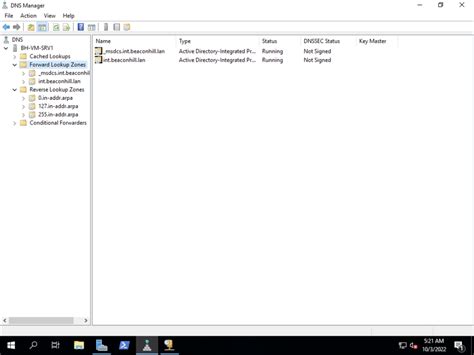 Configuring Dns And Dhcp In Windows Server 2019 Nicholas Pineiro