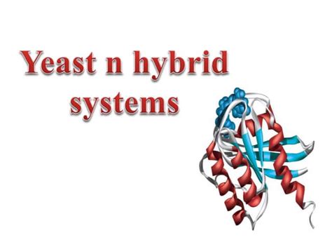 Yeast 2 Hybrid System Ppt By Meera Qaiser