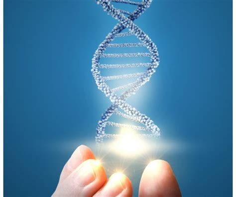 Dna Full Form Dna Stands For Deoxyribonucleic Acid
