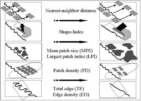 3 Spatio Temporal Dynamic Of Landscape Structures Quantification And