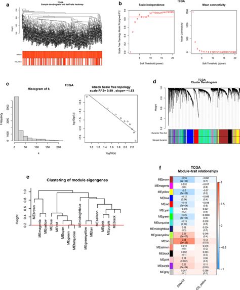 Construction Of Weighted Co Expression Network And Identification Of