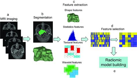 The Workflow Of Radiomics A Mri Imaging B Image Segmentation Was