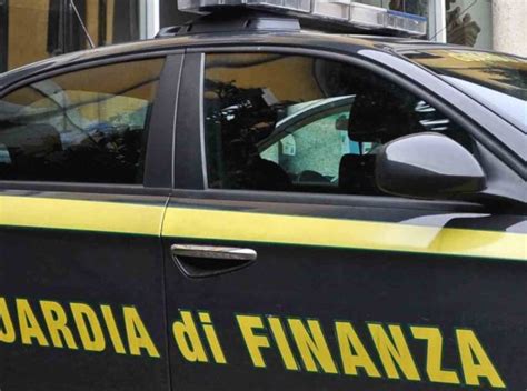 Falsa Pelletteria Blitz Della Guardia Di Finanza 7 Arresti E 21 Indagati