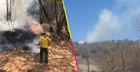 ¿otra Vez Se Incendia El Bosque La Primavera En Jalisco