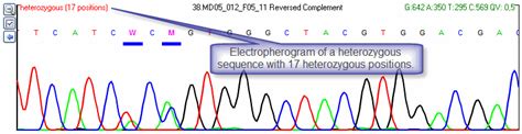 Homozygous Versus Heterozygous