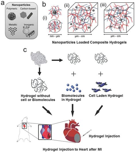 Schematic Representation Of Nanoparticle Loaded Injectable Composite