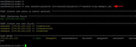 How To Create And Use Ansible Playbooks Cherry Servers