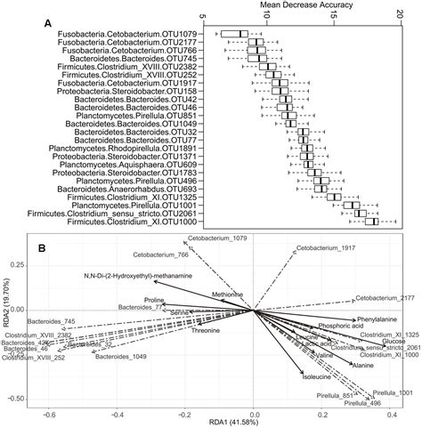 Frontiers Multi Omics Analysis Reveals A Correlation Between The Host