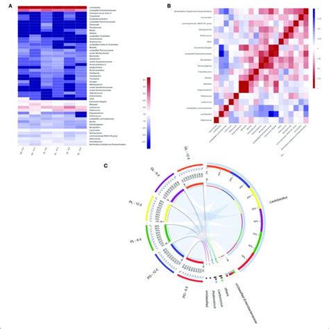 Gene Function Annotation A Of Microbial Community Kegg Pathways Of