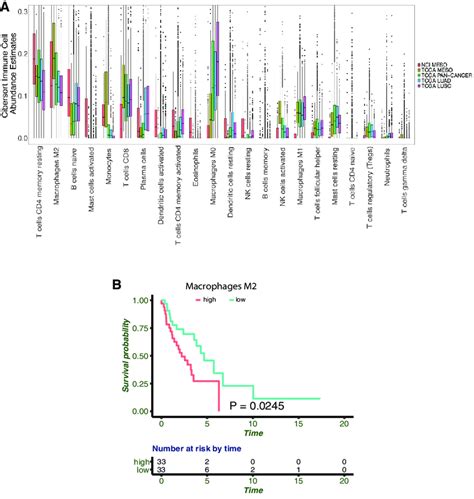 Immune Cell Abundance Estimates A Boxplot Of The Relative Fractions