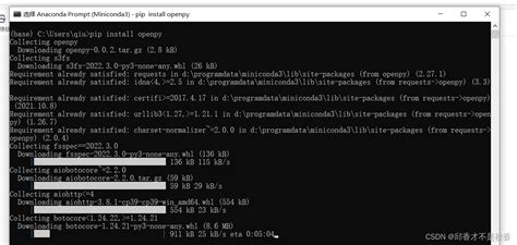 missing optional dependency ‘openpyxl‘ use pip or conda to install