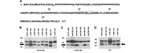 Mutations Within The N Terminal Cleavage Region Of Htt A Sequence Of