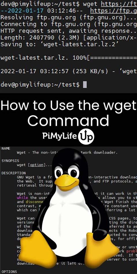 How To Use The Wget Command Linux Linux Operating System Command