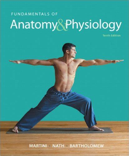 Anatomy And Physiology Nursing Test Banks Fundamentals Of Anatomy