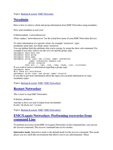legato networker cli command line interface computer file