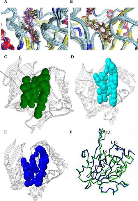 Structure Movements During Molecular Dynamic Simulation Download