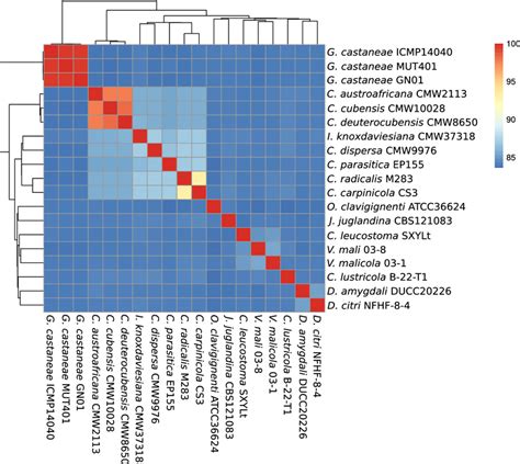 Heatmap Of The Average Nucleotide Identity Ani Analysis Performed