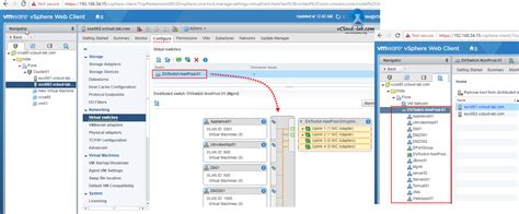 copy or clone distributed virtual switch portgroups to standard switch