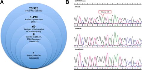 Identification Of A Novel Genetic Locus Underlying Tremor And Dystonia