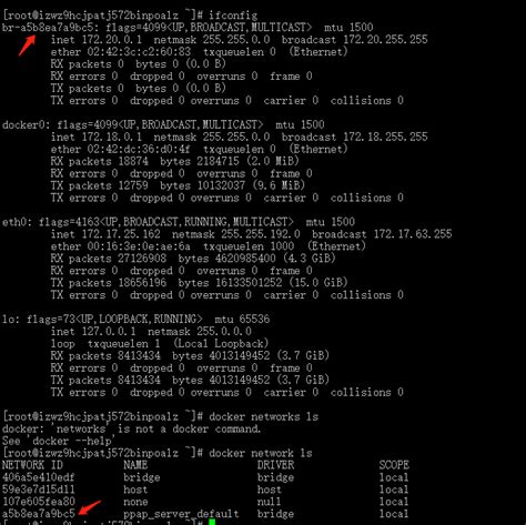 get host ip address inside docker container about dock