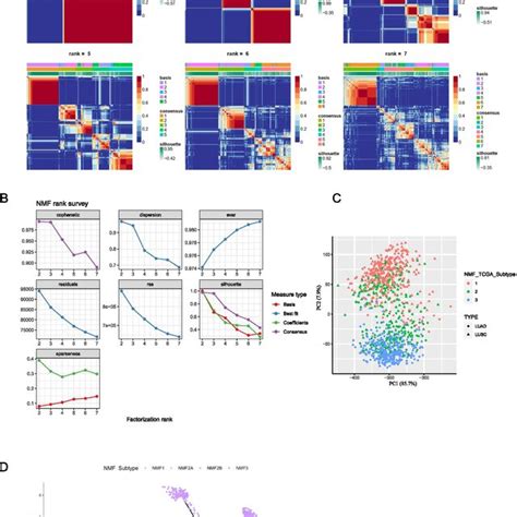 Construction Of Nsclc Immune Subgroups By Nmf Classification A Nmf Of