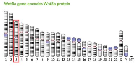 Pathogenic Microorganisms Targeted By Complex Cellular Communications