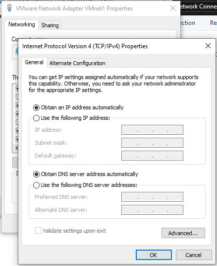 networking set up a direct network between host and guest vmware