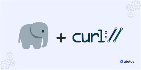 a beginner s guide to php curl functions