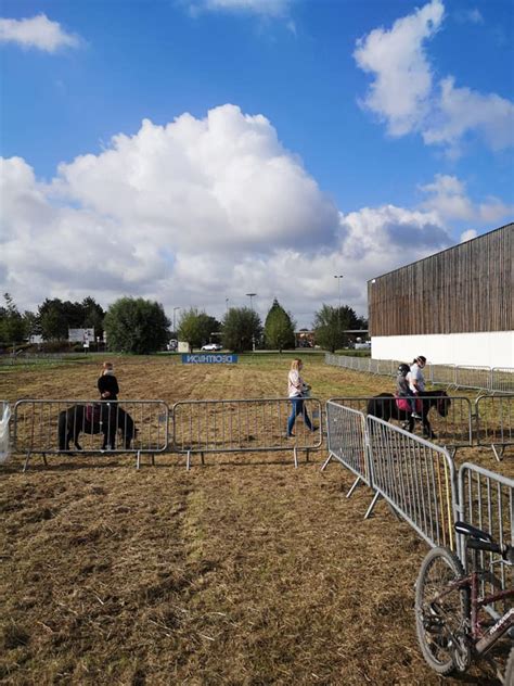 Le Vitalsport Est Decathlon Neuville En Ferrain Roncq Facebook