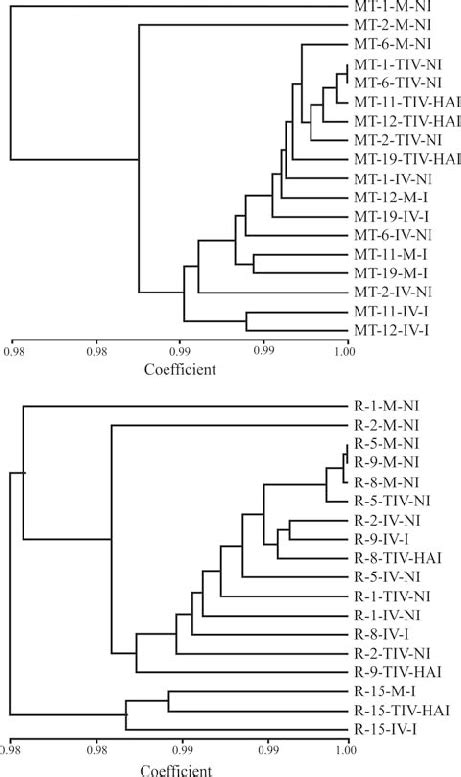 Dendrograms Showing The Similarity Of Aflp Profiles Among Analysed