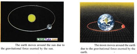 Gravitational Force Holds The Solar System Cbse Tuts