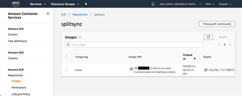 how to deploy synchronizer docker container in amazon aws split help