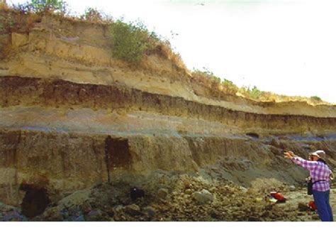 8 Upper Mollic Paleosols Of Toluca Sequence In Zacango Exposure