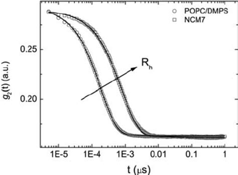 Field Correlation Function Obtained By Dls For A Typical Suspension Of