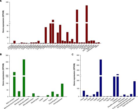 Transcriptomic Abundances Of Sixty Four Genes Putatively Involved In