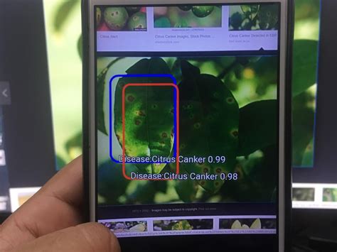 identification of pathological disease in plants powered by intel