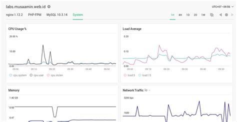linux server system monitoring dengan amplify nginx musa