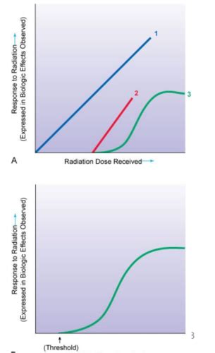 1129 Lecture 9 Stochastic Effects And Late Tissue Reactions Of